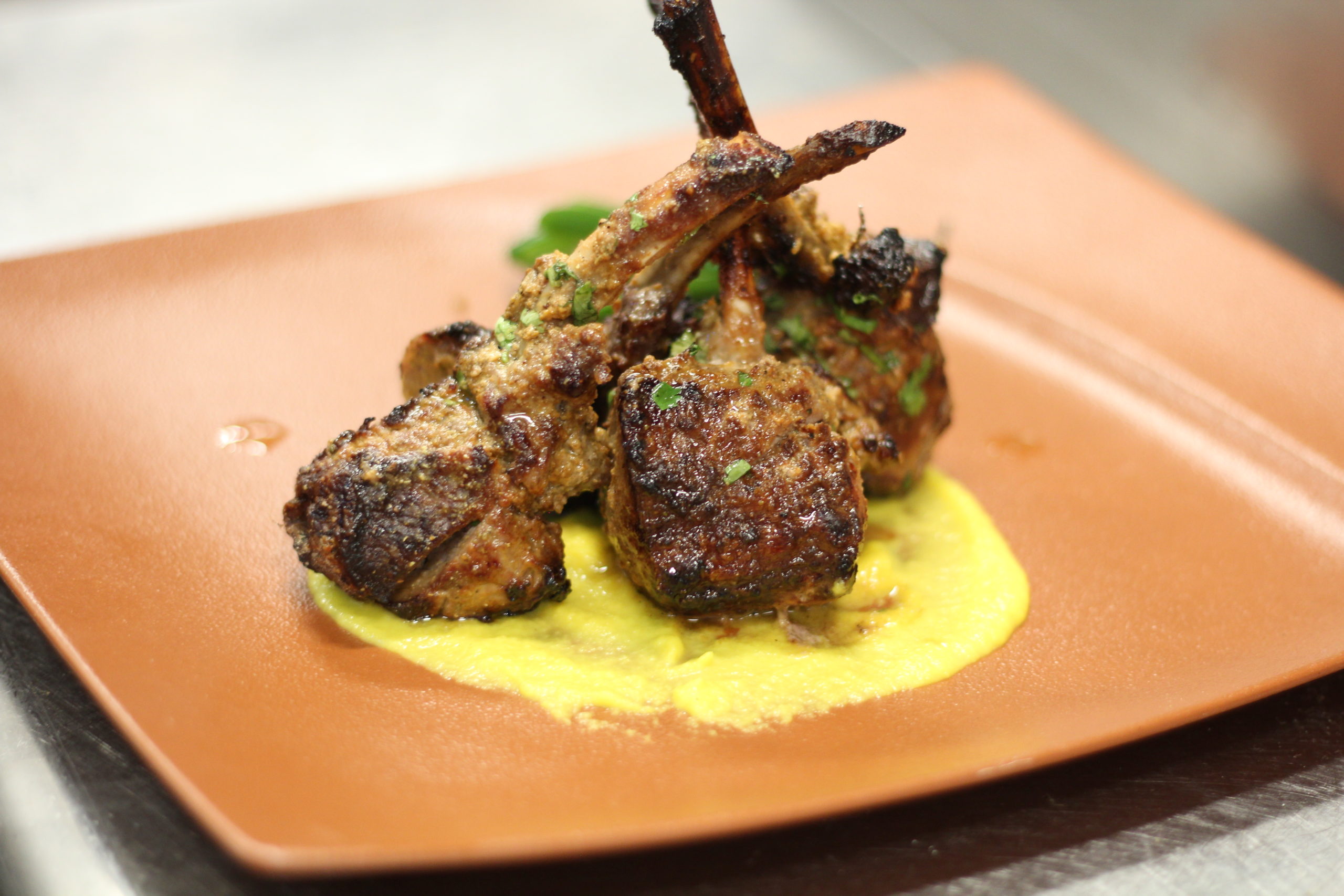 Gallery | Samudhra | New Jersey